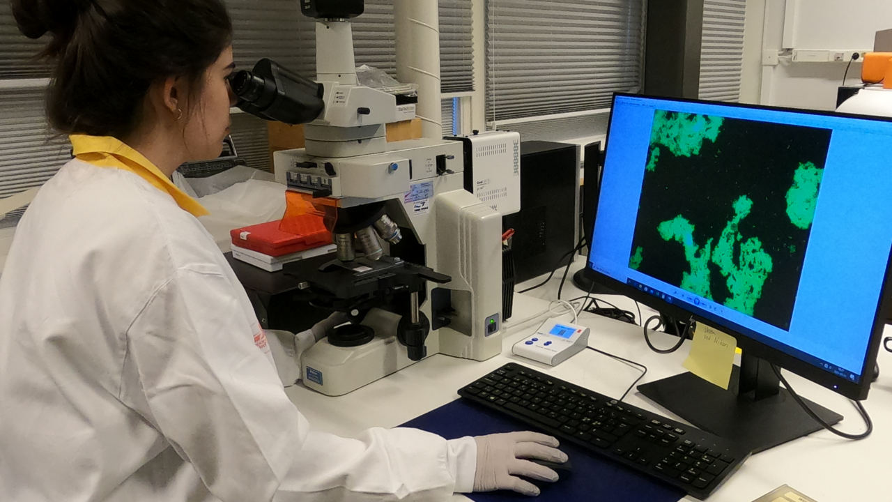 BIOREMIA Open Science Workshop